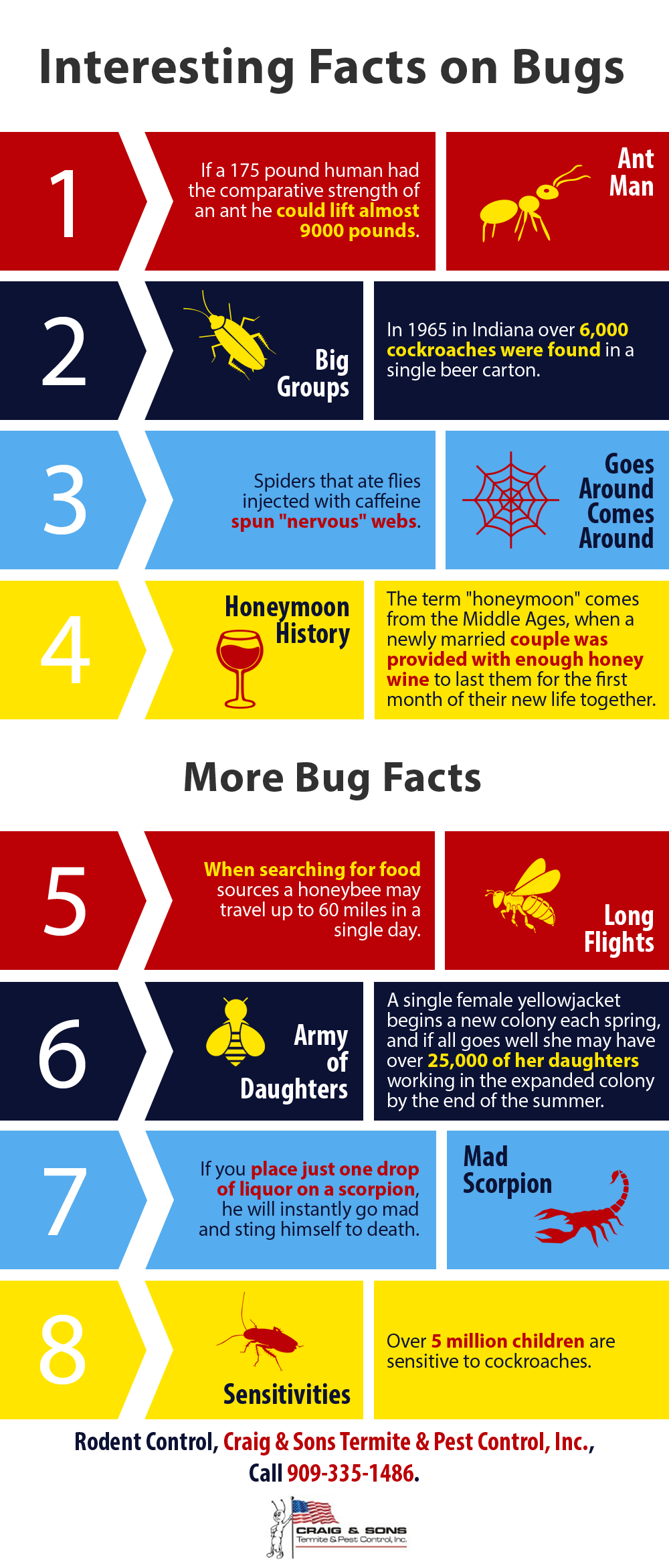 Interesting Facts On Bugs Shared Info Graphics