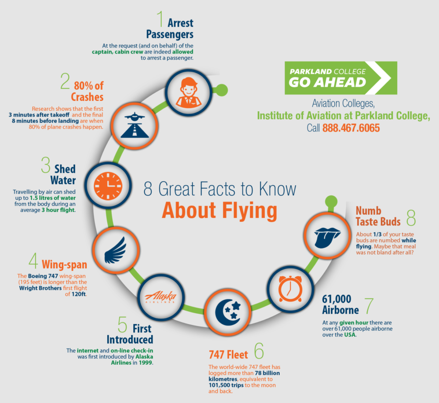 8 Great Facts to Know About Flying | Shared Info Graphics