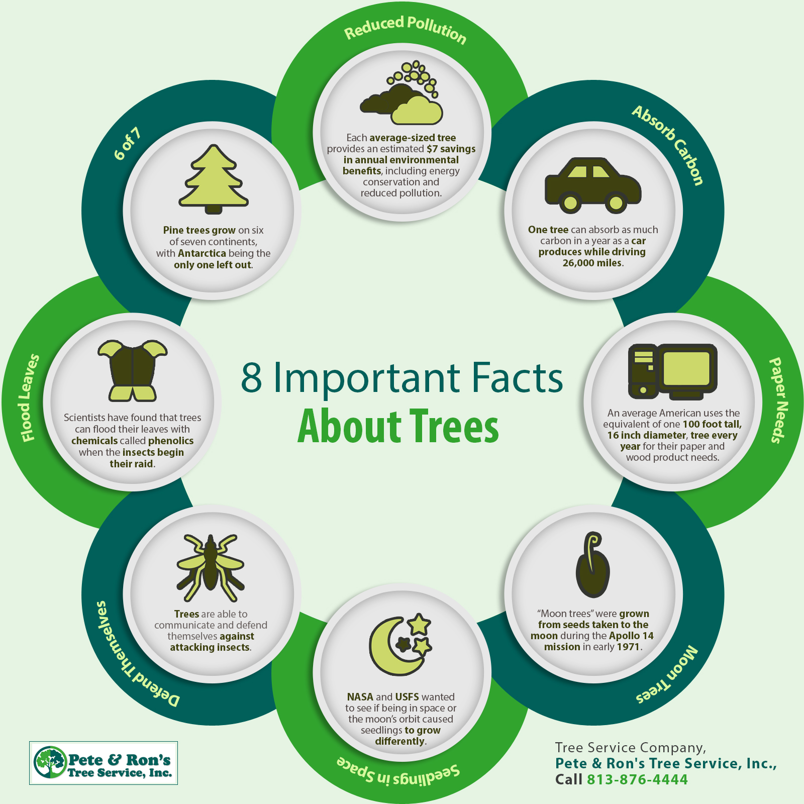 8 Important Facts About Trees Shared Info Graphics 8 Important Facts About Trees Shared Info Graphics