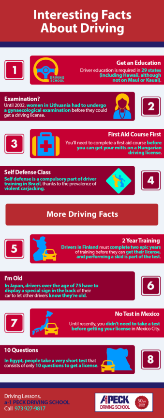 Interesting Facts About Driving | Shared Info Graphics