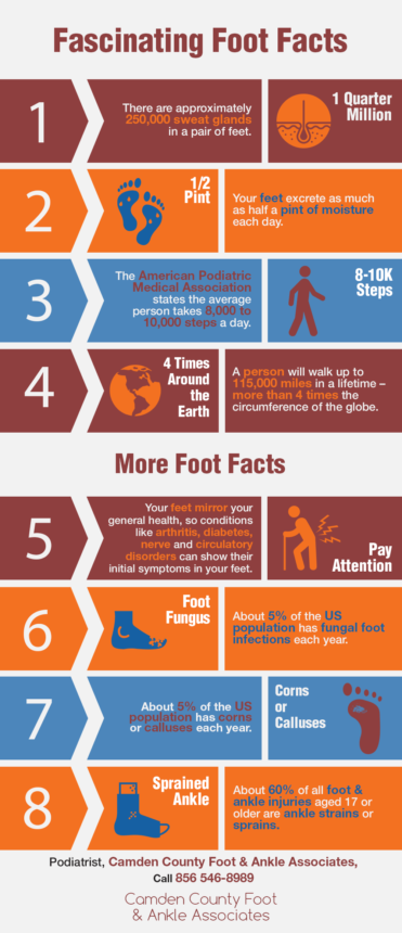 Fascinating Foot Facts | Shared Info Graphics