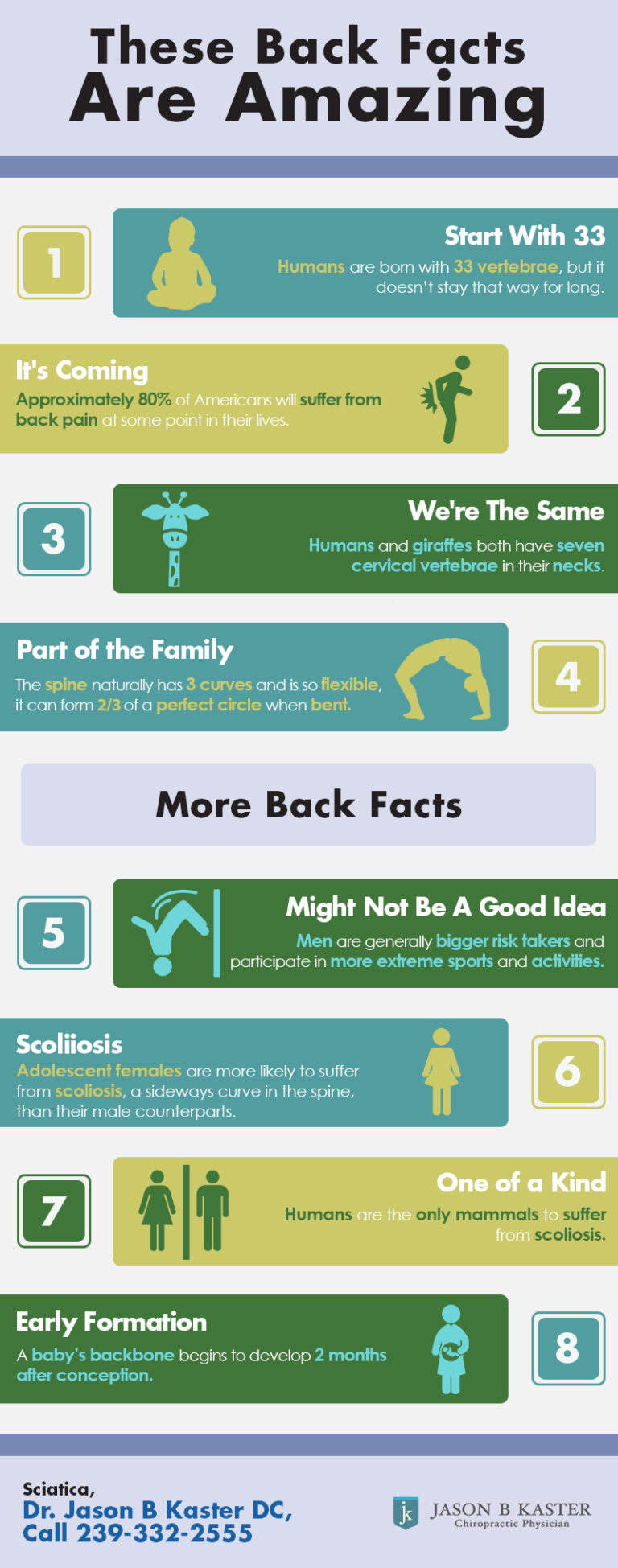 These Back Facts Are Amazing | Shared Info Graphics