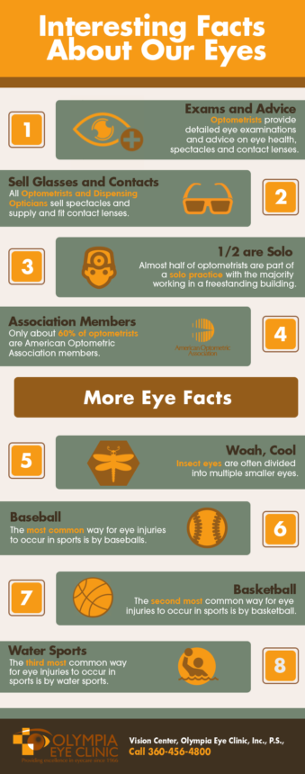 Interesting Facts About Our Eyes | Shared Info Graphics