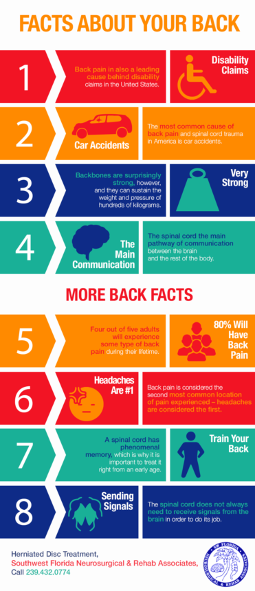 Facts About Your Back | Shared Info Graphics