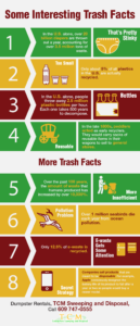 Some Interesting Trash Facts | Shared Info Graphics