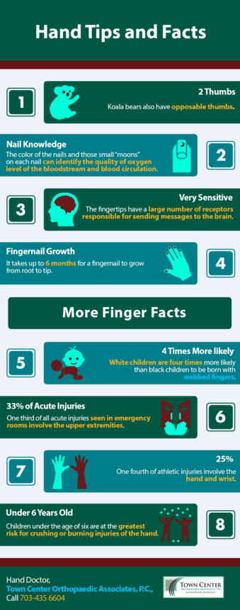 Hand Tips and Facts | Shared Info Graphics