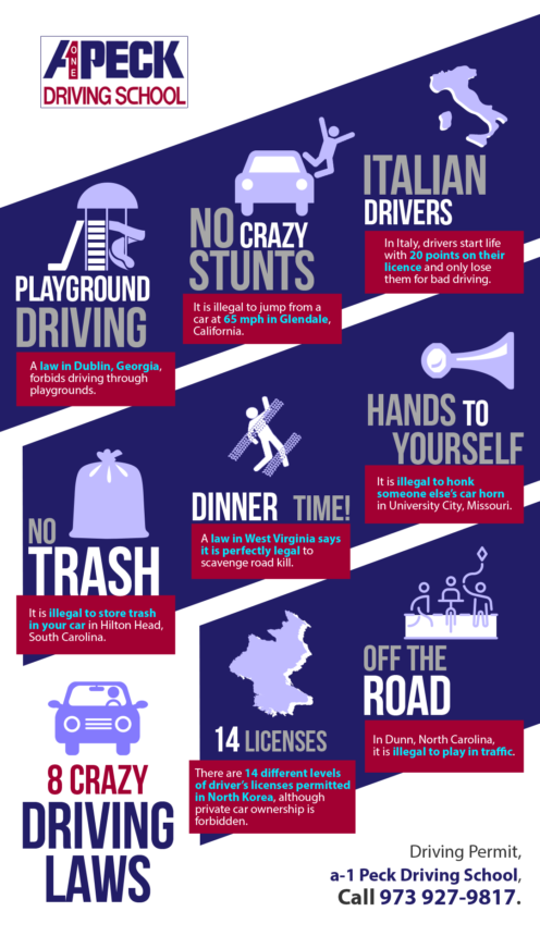 8 Crazy Driving Laws | Shared Info Graphics