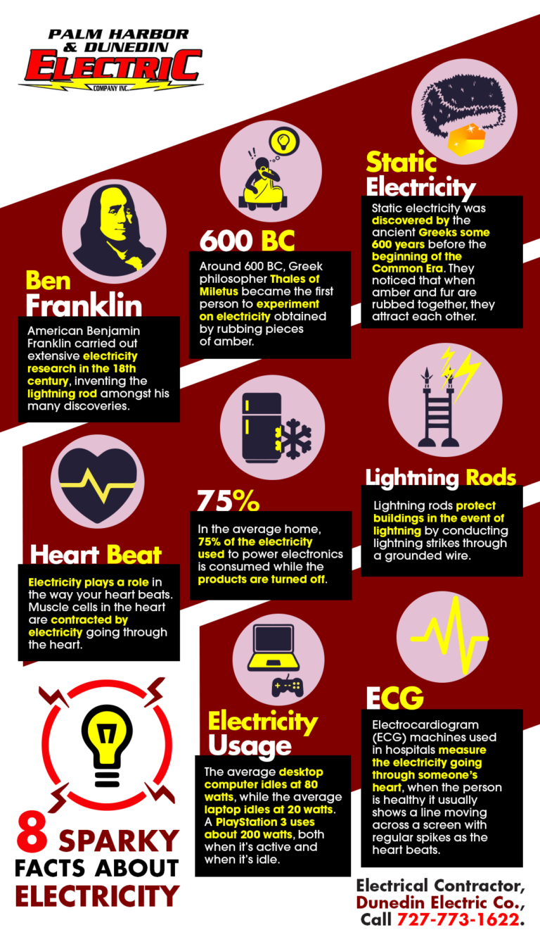 8 Sparky Facts About Electricity | Shared Info Graphics