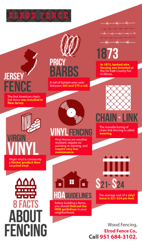 8 Facts About Fencing | Shared Info Graphics