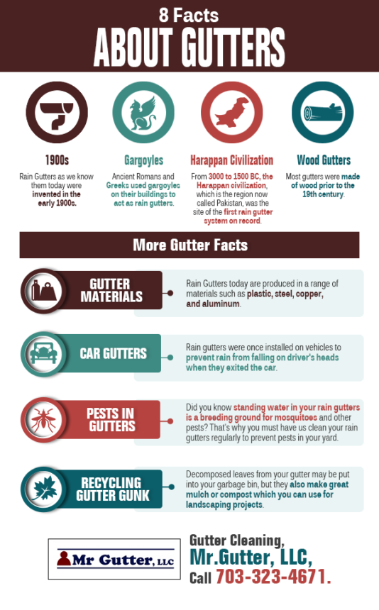 8 Facts About Gutters | Shared Info Graphics