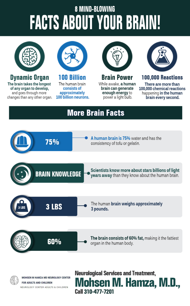 8 Mind-Blowing Facts About Your Brain! | Shared Info Graphics