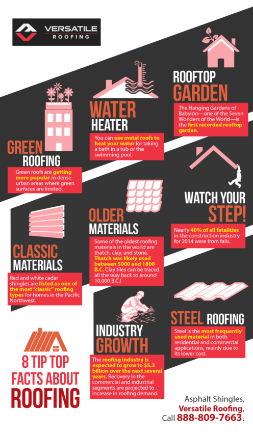 8 Tip Top Facts About Roofing | Shared Info Graphics