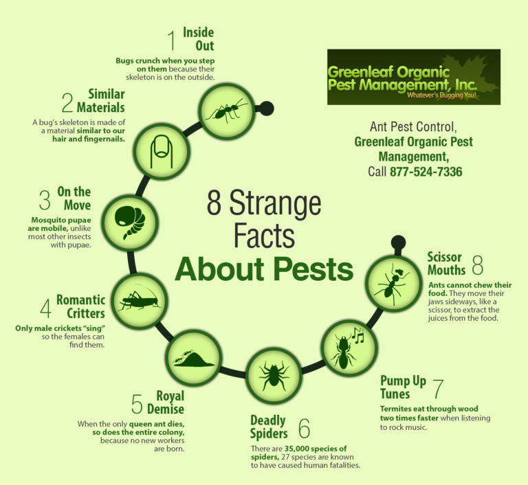 8 Strange Facts About Pests | Shared Info Graphics