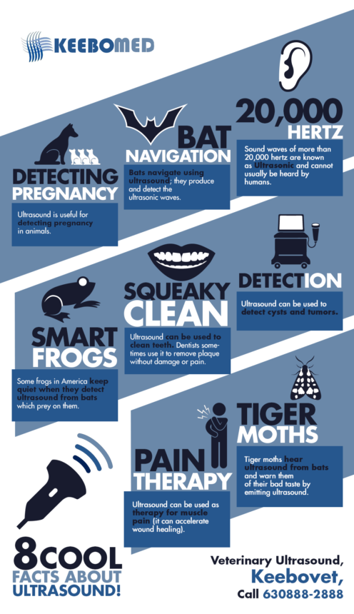 8 Cool Facts About Ultrasound | Shared Info Graphics
