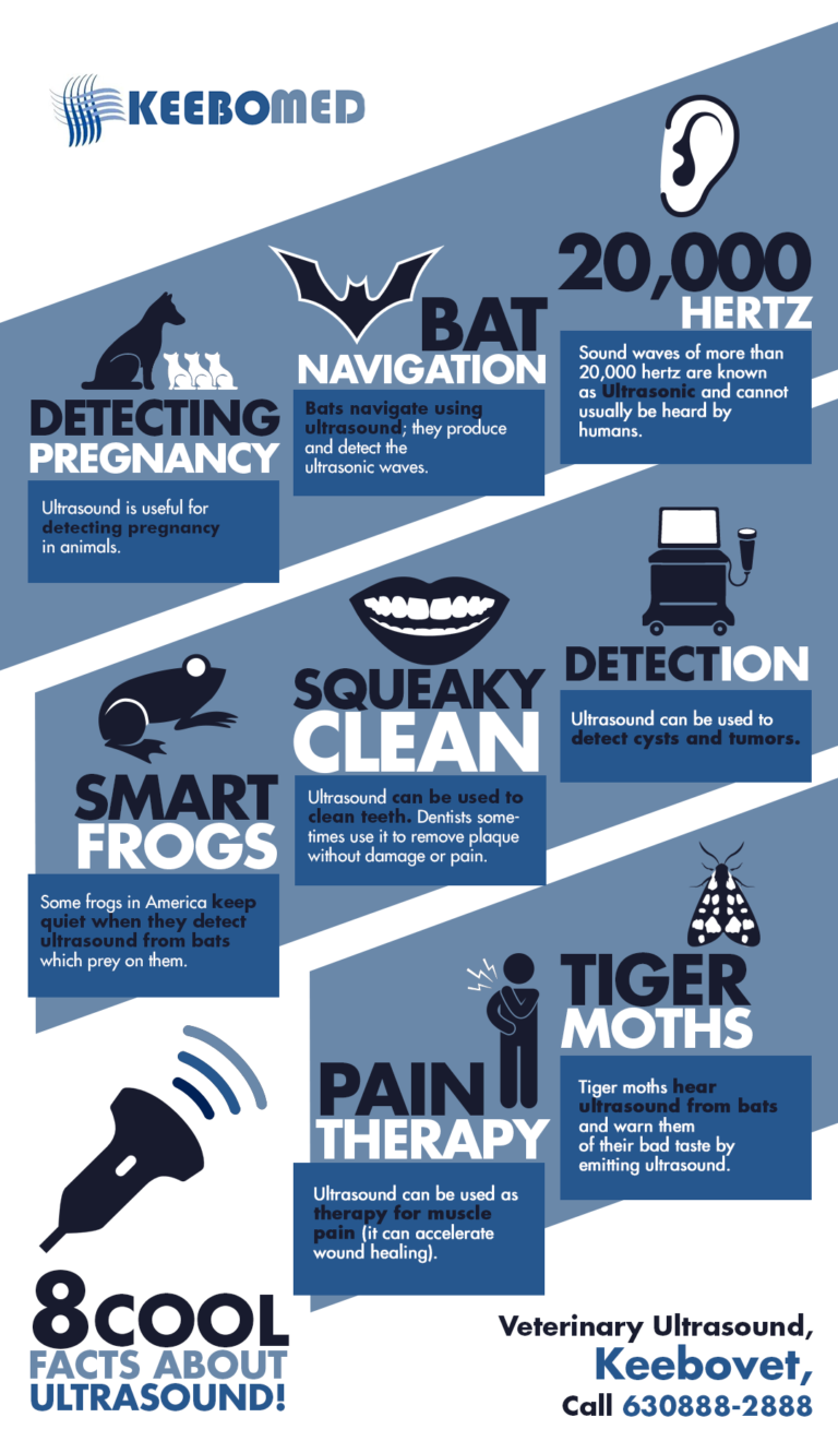 8 Cool Facts About Ultrasound | Shared Info Graphics