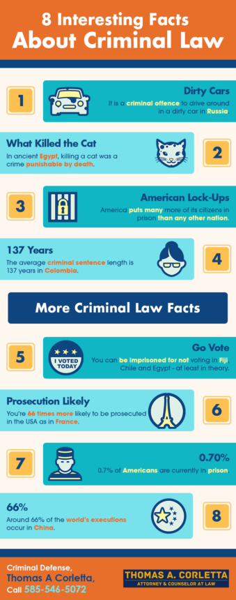 8 Interesting Facts About Criminal Law | Shared Info Graphics