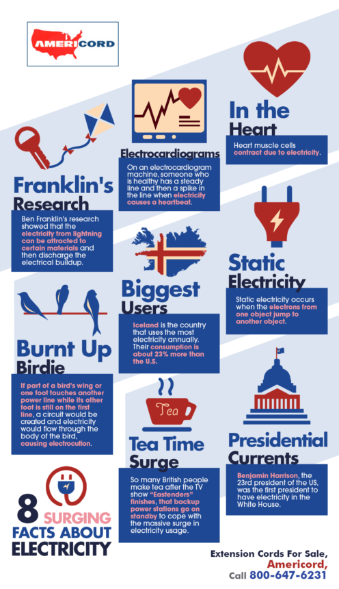 8 Surging Facts About Electricity | Shared Info Graphics