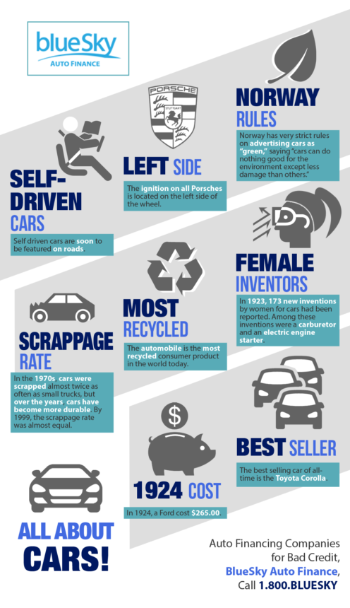 All About Cars! | Shared Info Graphics