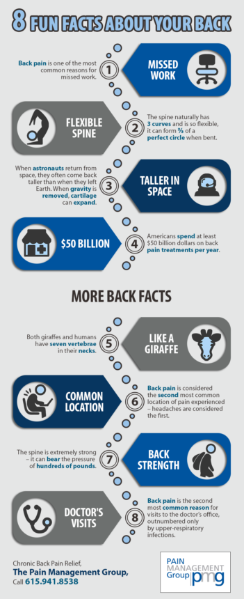 8 Fun Facts About your Back | Shared Info Graphics