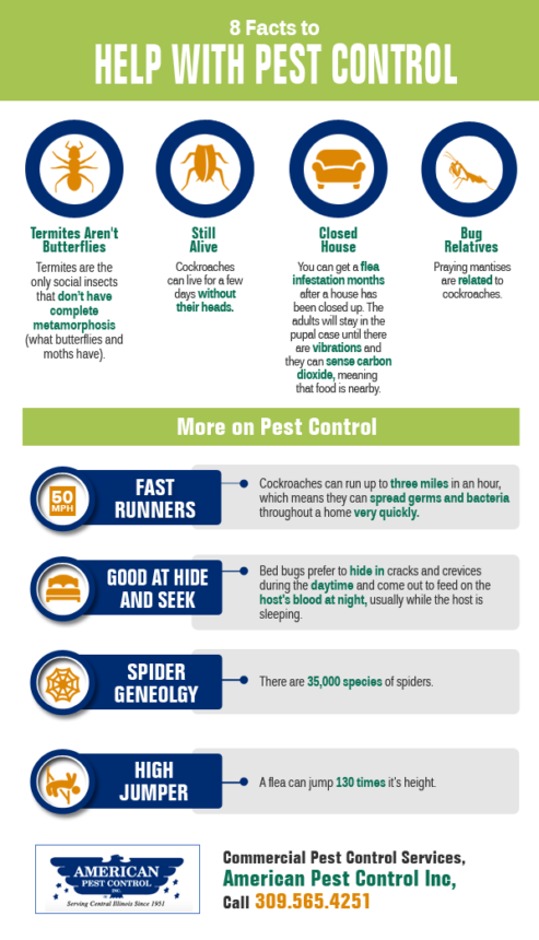 8 Facts to Help With Pest Control | Shared Info Graphics