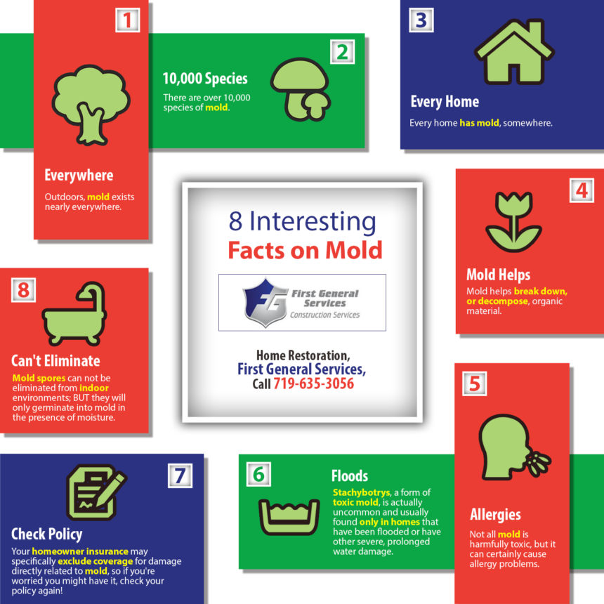 8 Interesting Facts on Mold | Shared Info Graphics
