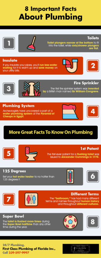 8 Important Facts About Plumbing | Shared Info Graphics
